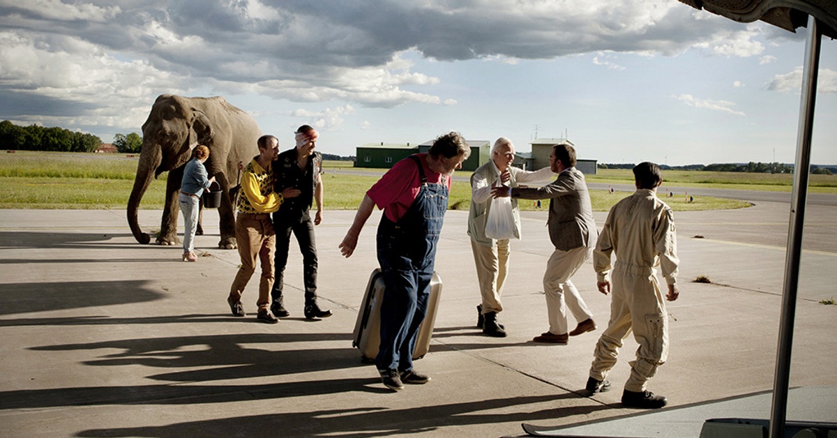 David Wiberg - Personnalité