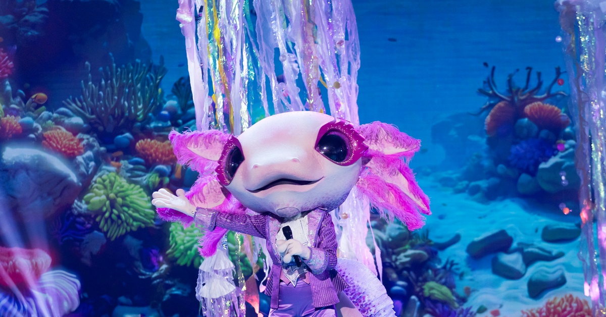 Axel l'Axolotl : Découvrez nos prédictions sur ce nouveau personnage de ...